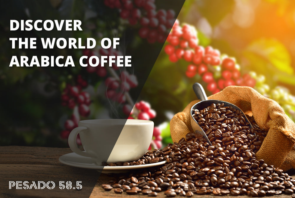 Exploring Arabica Coffee: Origins, Flavors & Culture - Pesado